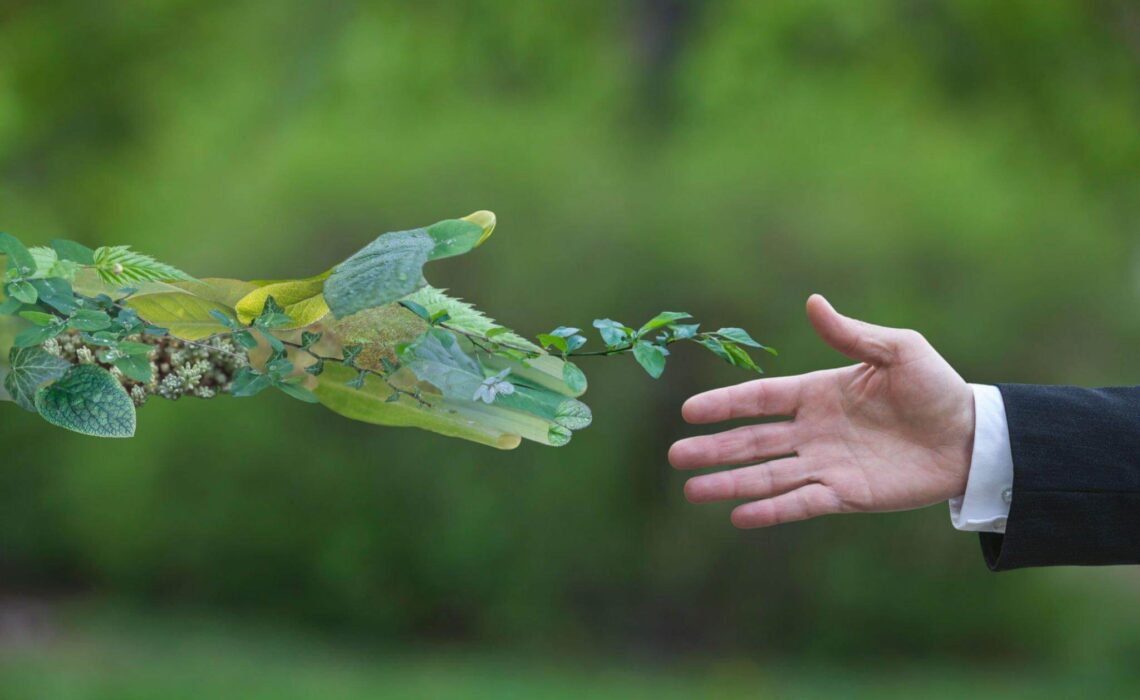 How To Make Your Business More Sustainable